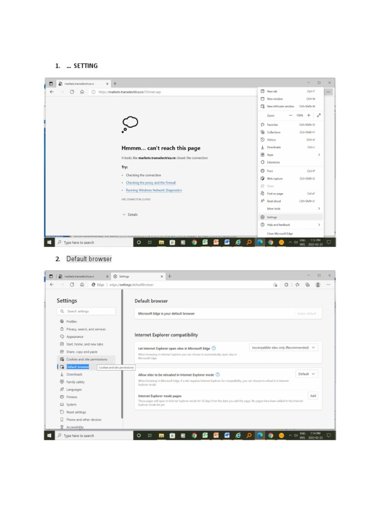 Acces DAMAS Din Edge - Extindere Internet Explorer | PDF | Computers