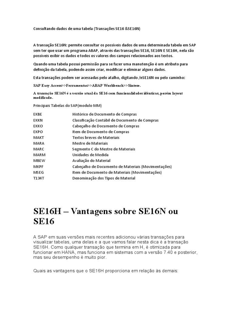 Manual Da Transação SE16N | PDF