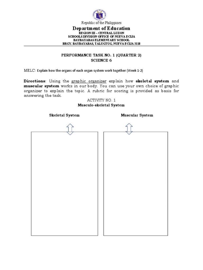 PERFORMANCE TASK SCIENCE 6 Quarter 2 | PDF | Lung | Anatomy