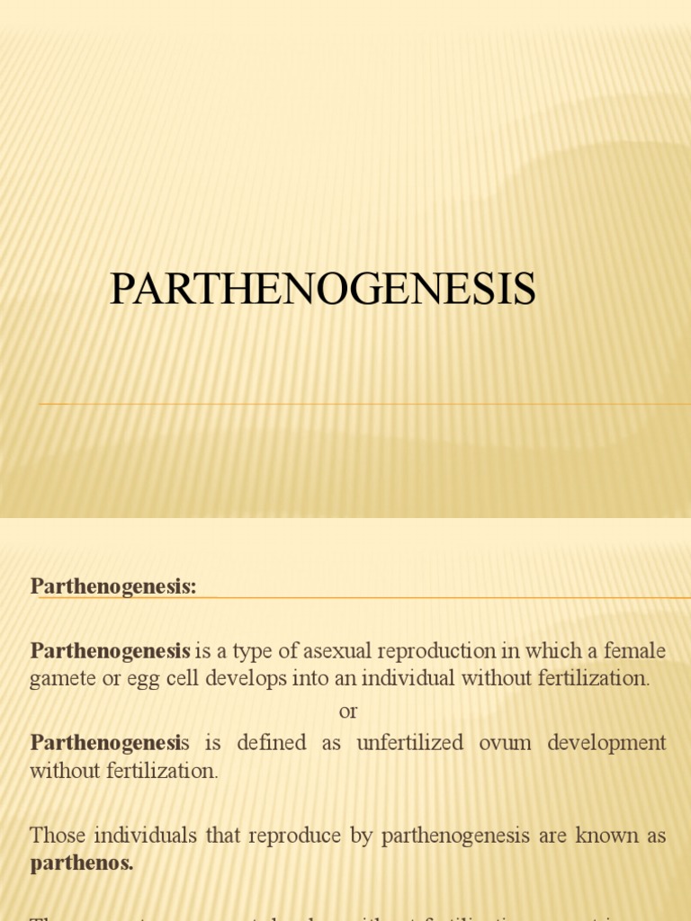 Parthenogenesis | PDF | Meiosis | Ploidy