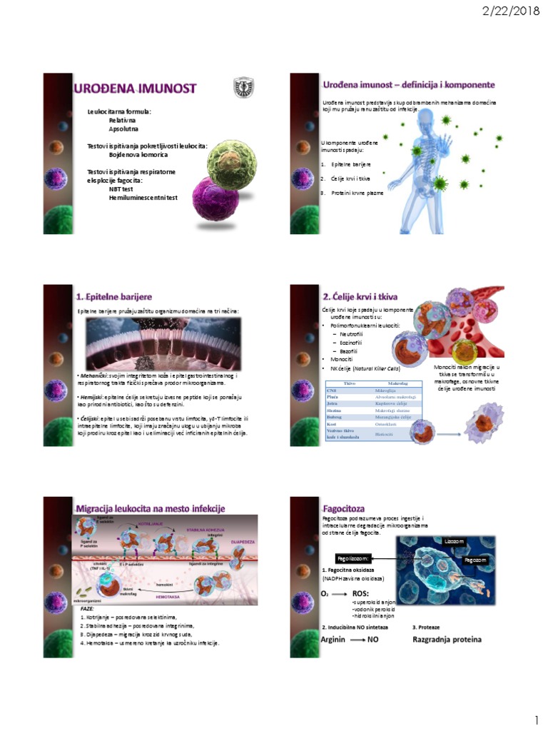 Imunologija 2018 | PDF