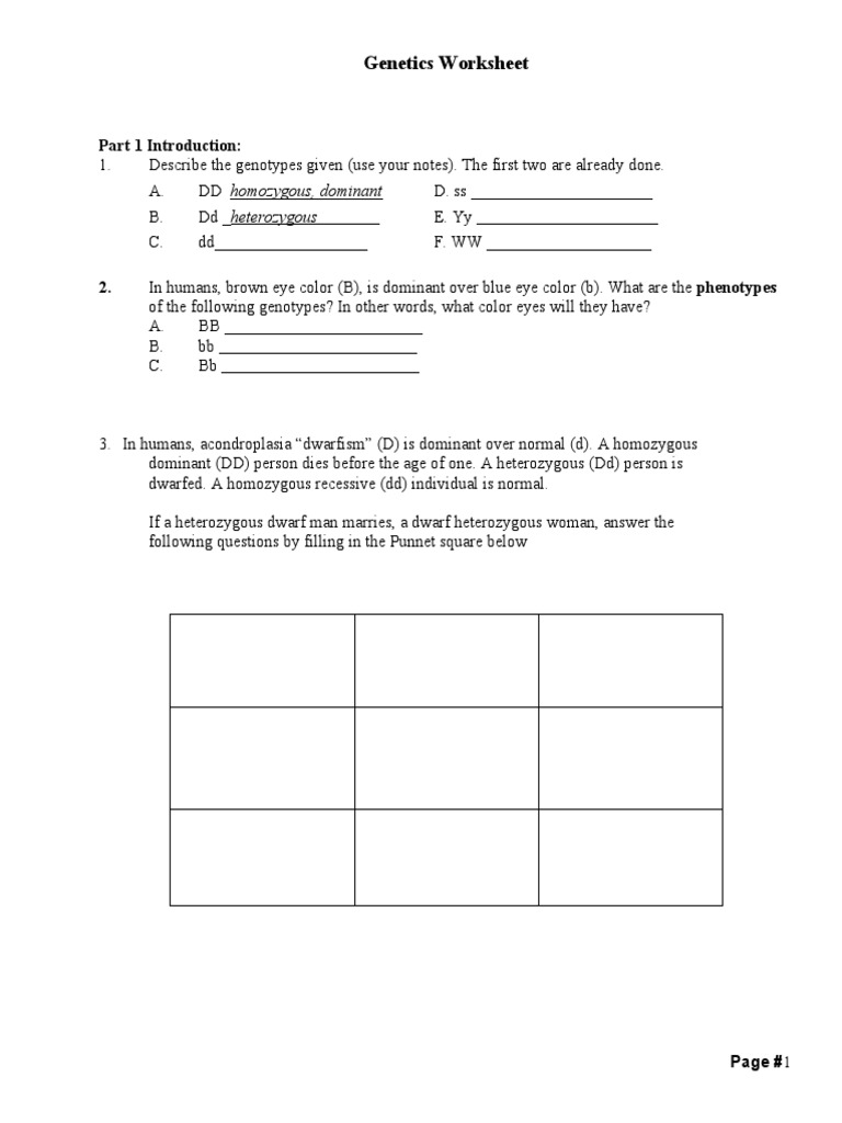 Genetics Worksheet | PDF | Dominance (Genetics) | Genotype
