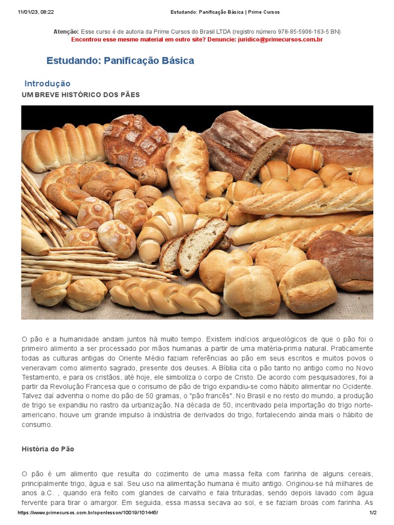 Uma Introdução aos Ingredientes e Processos Básicos da Panificação ...
