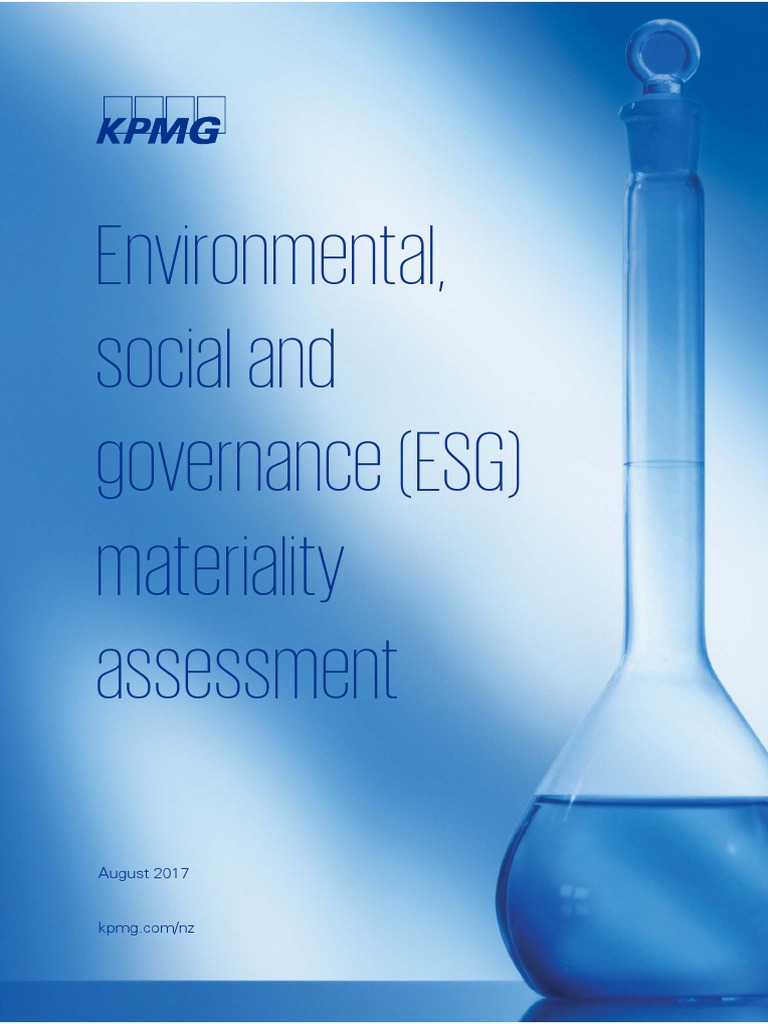 Esg Materiality Assessment 2017 KPMG NZ | PDF | Strategic Management | Risk