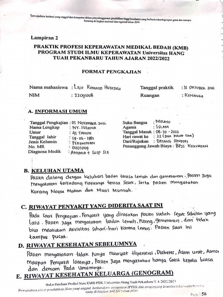 Laporan Kasus Anemia | PDF