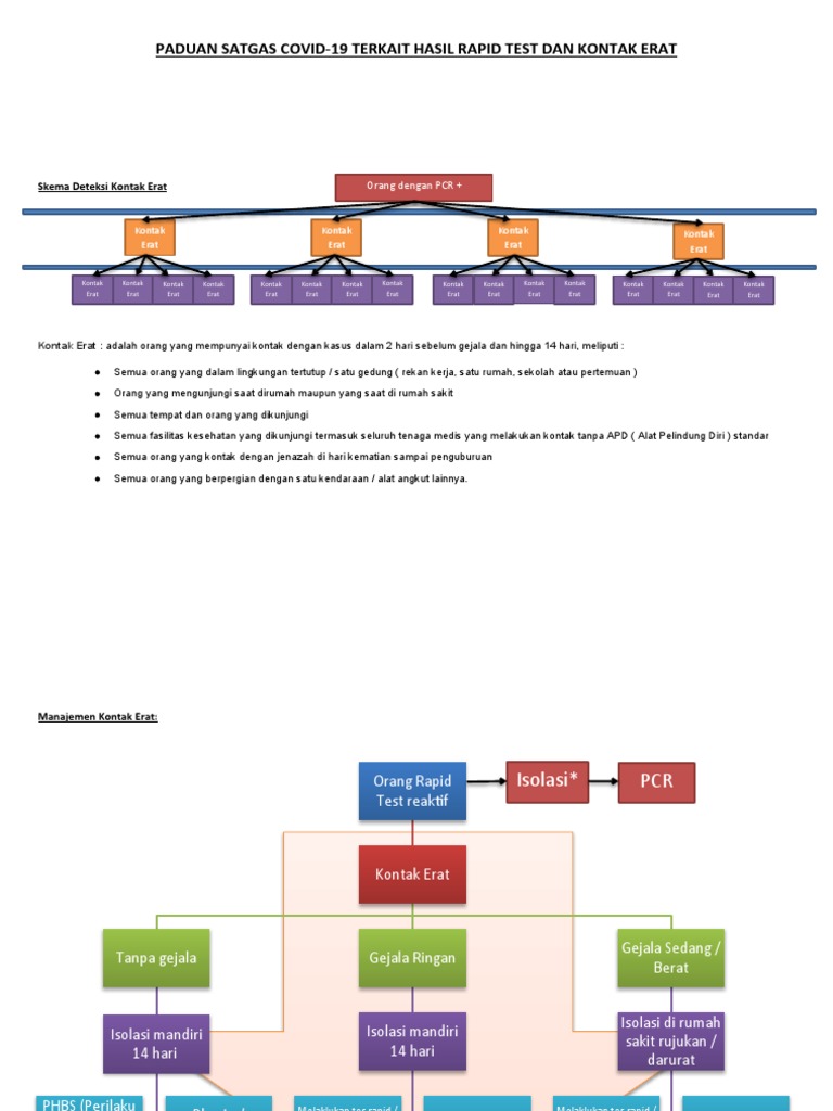 Skema Deteksi Kontak Erat | PDF