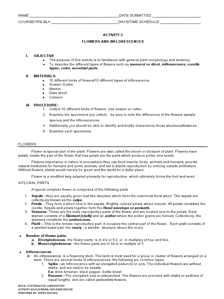 Orca Share Media1645490440596 6901687136957622992 | PDF | Petal | Flowers