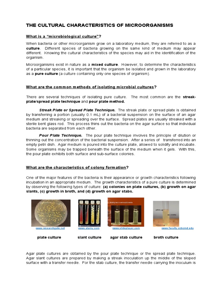 Cultural Characteristics of Microorganisms | PDF | Organisms | Biology
