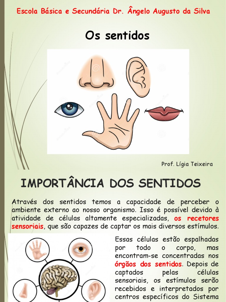 Os sentidos: A visão, audição, olfato, paladar e tato | PDF | Orelha ...