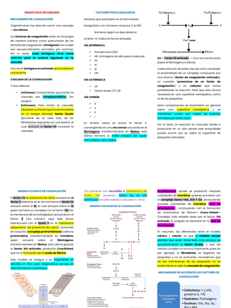 Hemostasia Secundaria Apunte Listo V2 Pdf Coagulación Hemostasia