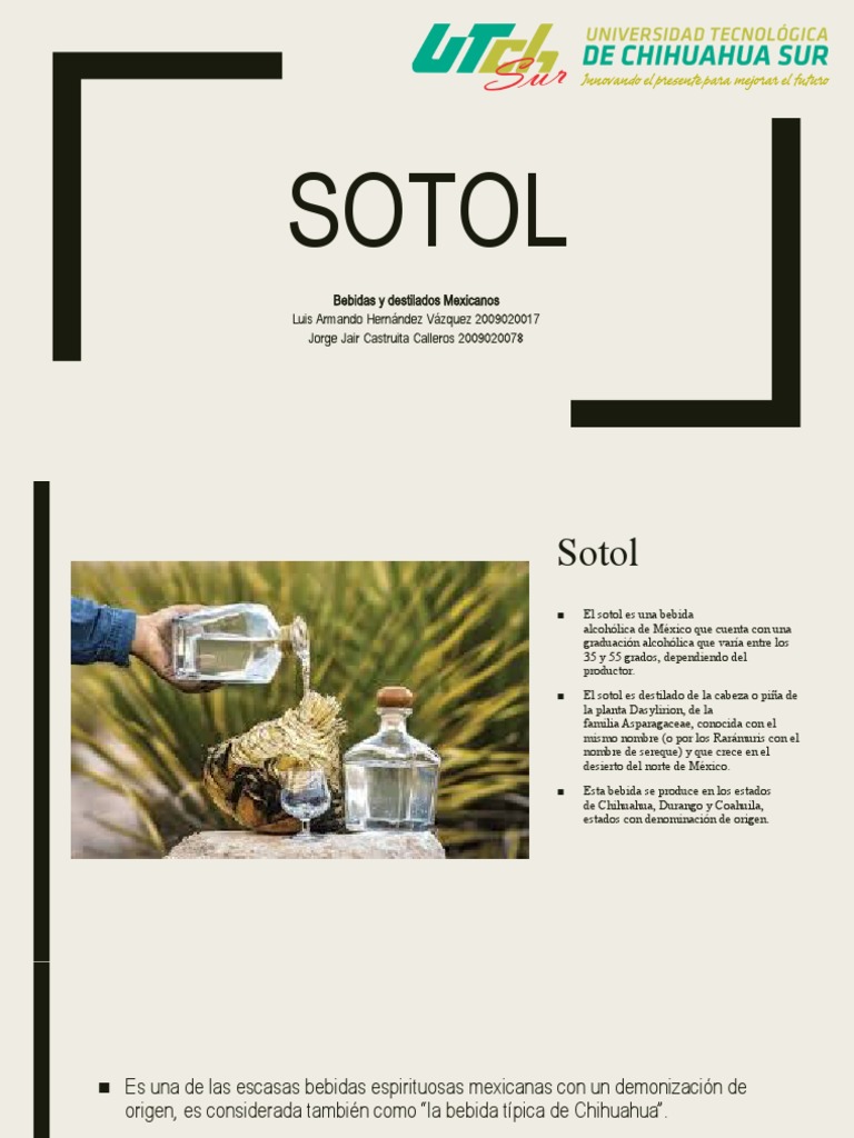 Sotol: Bebida Típica de Chihuahua | PDF