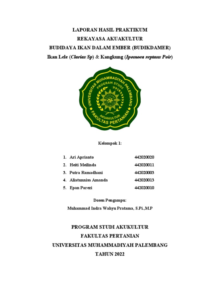Laporan Rekayasa Sementara | PDF | Teknologi & Rekayasa
