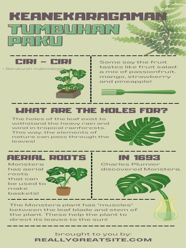 Green & Brown Monstera Plant Fun Facts Data Infographic | PDF