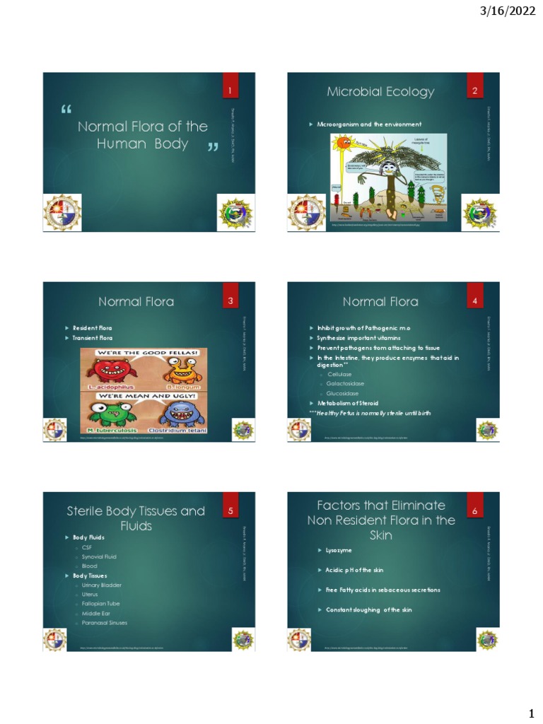 Normal Flora of The Human Body | PDF | Staphylococcus | Medical Specialties