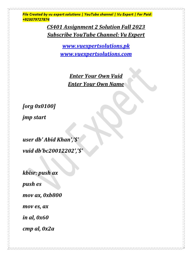 CS401 Assignment 2 Guide | PDF