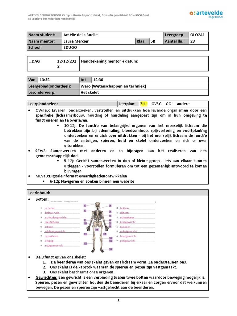 Het Skelet Herwerkt | PDF