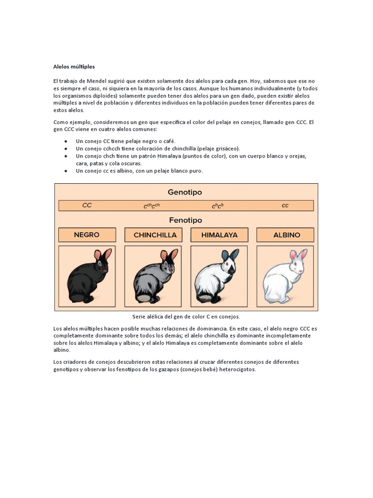 Práctico Genética Alelismo Múltiple (Con Problemas) | PDF | Alelo ...