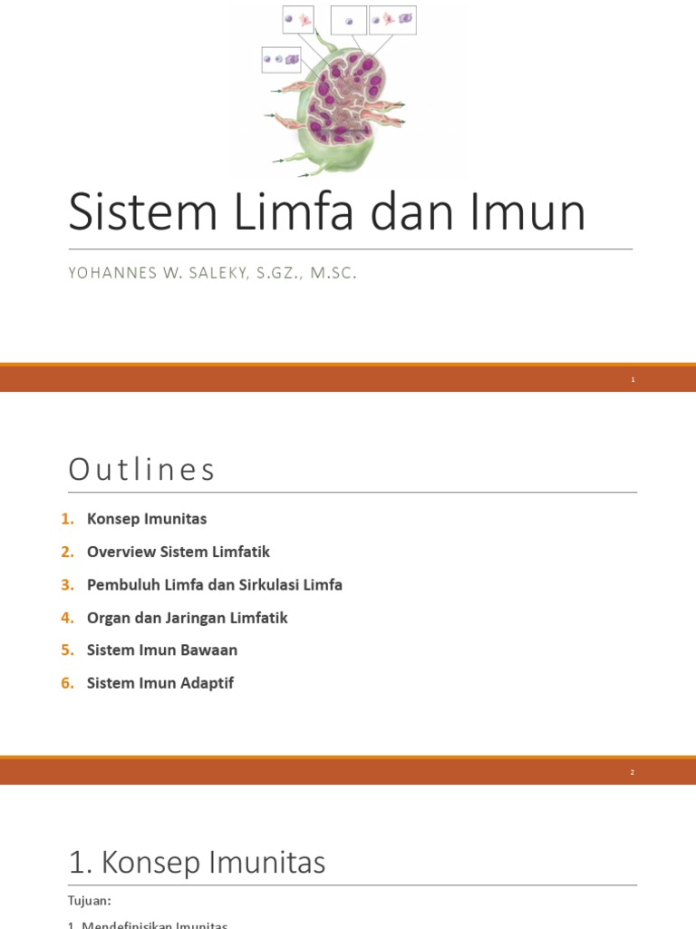 Anatomi Sistem Limfa | PDF