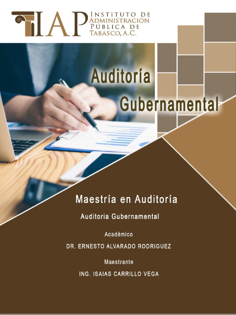 Auditoria Gubernamental | PDF | Auditoría | Gobierno