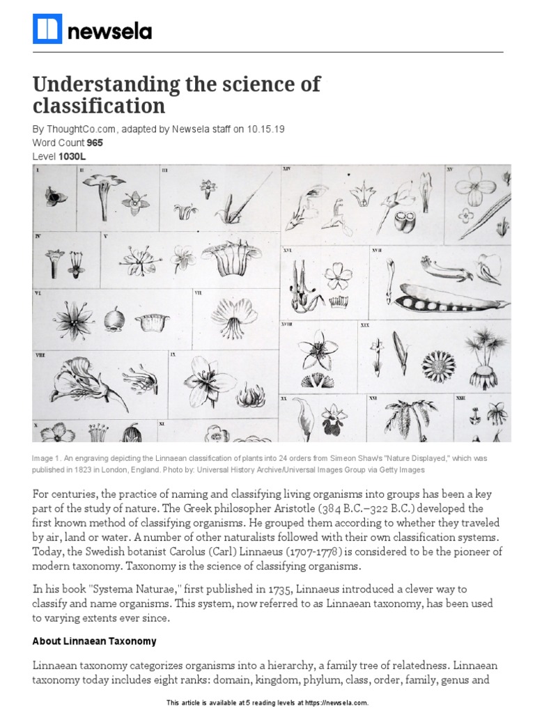 B7 Classification Reading | PDF | Taxonomy (Biology) | Science