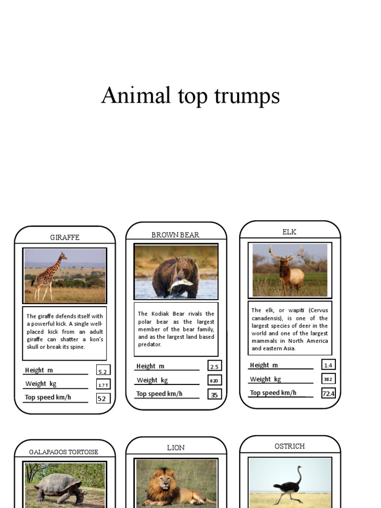 Animal Top Trumps: Speed & Stats | PDF | Elk | Horse Gait