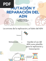 Mecanismos de Reparación de Daños en La Molécula de Adn | PDF | Reparación de adn | Adn
