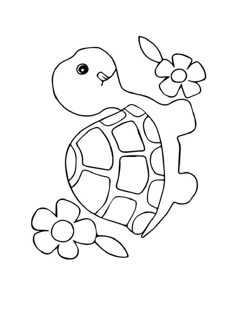 Turtle Sketsa | PDF