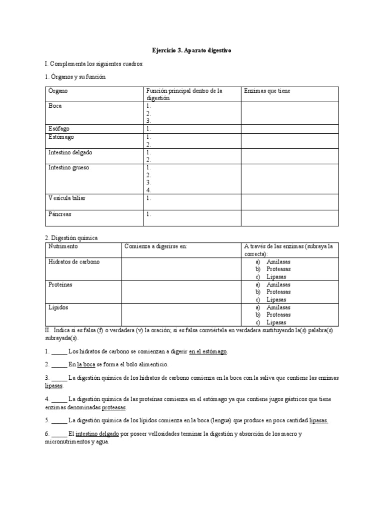 Ejercicio 3 Aparato Digestivo | PDF | Digestión | Sistema digestivo humano