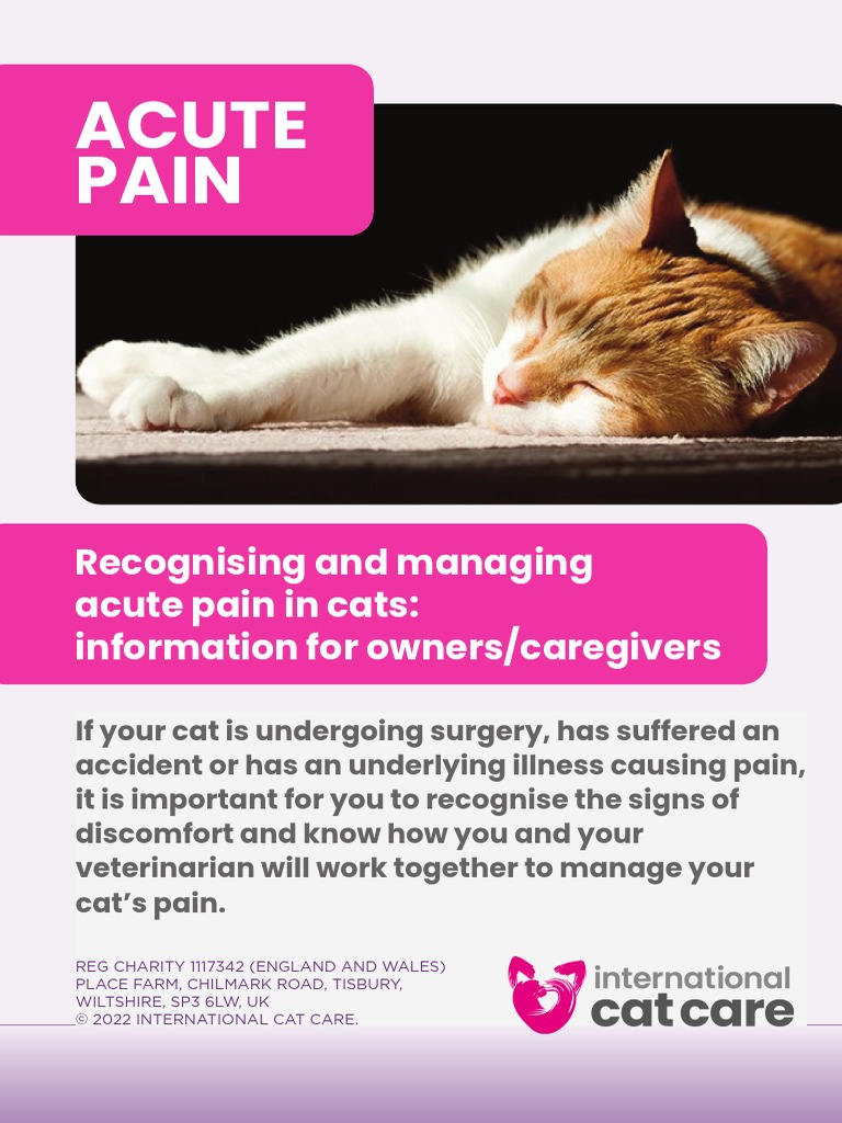 Cat Carer Guide - Acute Pain | PDF | Pain | Caregiver