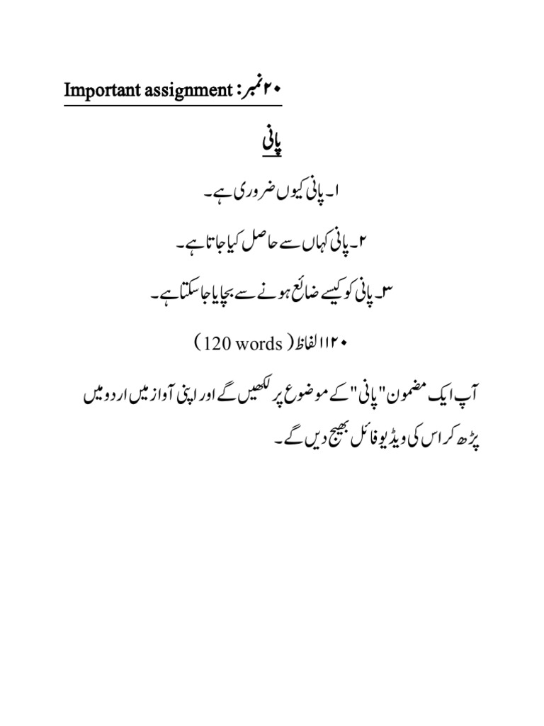 Important Assignment | PDF