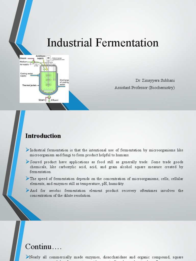 Industrial Fermentation | PDF | Fermentation | Chemistry