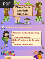 Worksheet - Parts of A Plant - Answer Key | PDF | Leaf | Plants