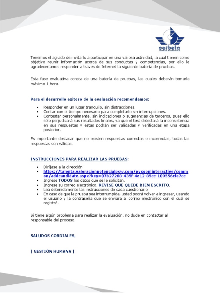 Instructivo Nuevo - Profesional Procesos Comerciales | PDF