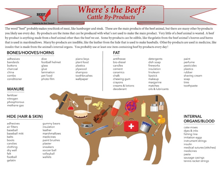 Wheres The Beef Cattle by Products | PDF