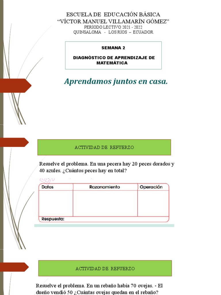 Diagnóstico de Aprendizaje Matemático | PDF
