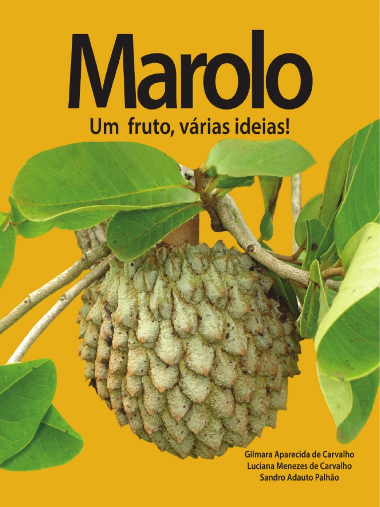 Marolo: Patrimônio Cultural de Paraguaçu | PDF