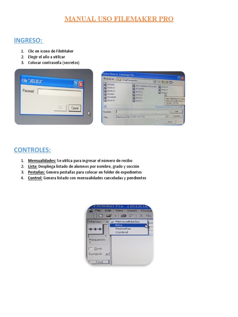 Manual Uso Filemaker Pro | PDF