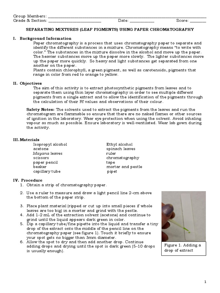 Paper Chromatography Experiment | PDF | Chromatography | Solvent