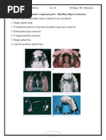 Major Connectors in RPD PDF | PDF | Mouth | Dentistry Branches
