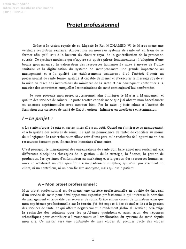 Projet Professionnel Final Litimi Nour-Eddine | PDF