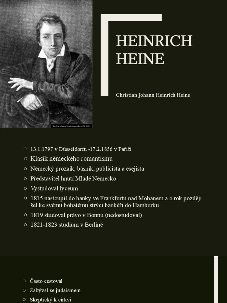 Prezentace Heine | PDF