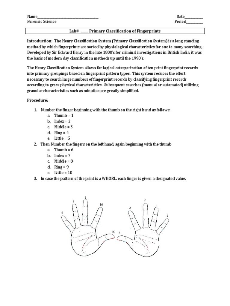 6 Lab Primary Classification of Fingerprints | PDF | Science | Forensic ...