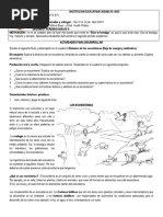 Guia 4º Cadena y Piramide Trofica Estudiante | PDF | Red alimentaria ...