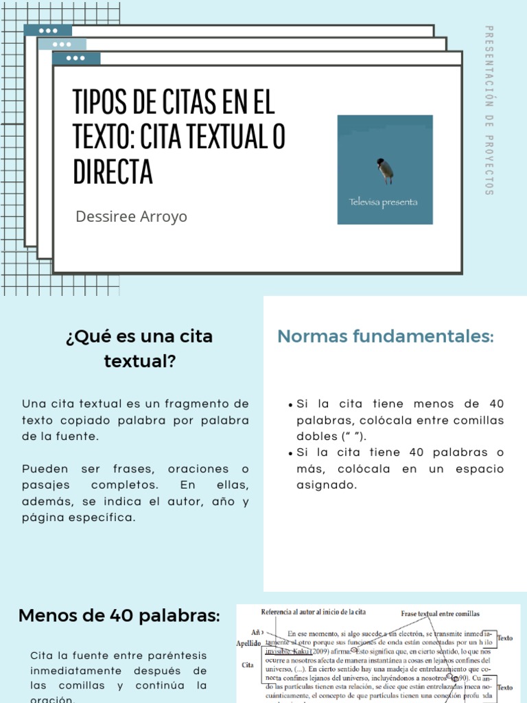 Tipos de Citas en El Texto Cita Textual o Directa | PDF