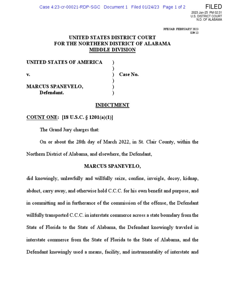 Spanevelo Federal Indictment | Download Free PDF | Grand Jury | Law