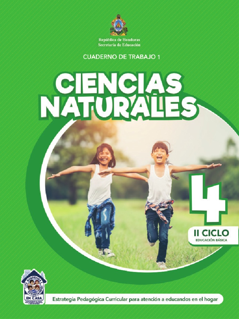 Imprimir CCNN 4 CuadernodeTrabajo1 SE Telebasica | Descargar gratis PDF | Sistema urinario | Sangre