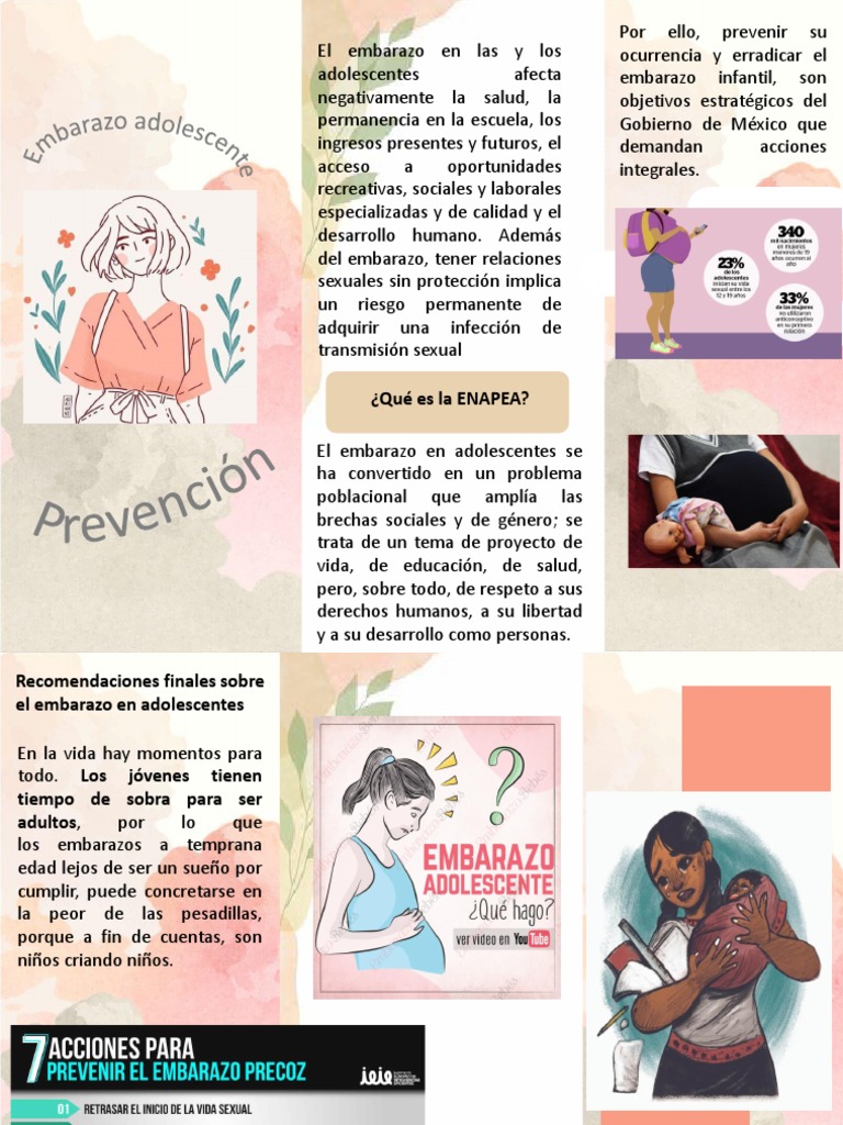 ¿Qué Es La ENAPEA? | PDF