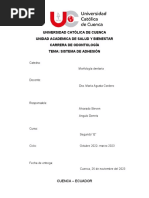 Propiedades Físicas de La Resina | PDF | Compuesto Dental | Absorción ...