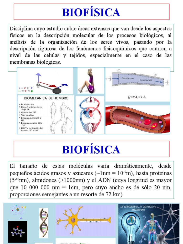 01 Biofisica | PDF | Biología | Biofísica