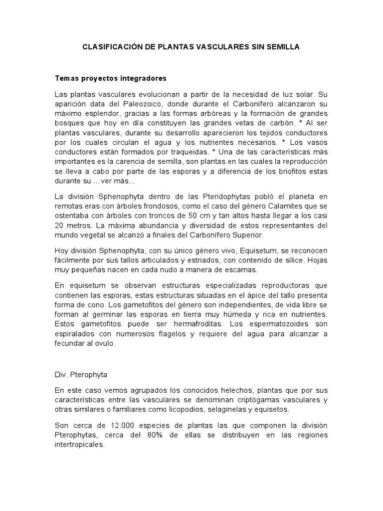 Clasificación de Las Plantas Vasculares Sin Semilla 2da | PDF | Plantas | Tallo de la planta